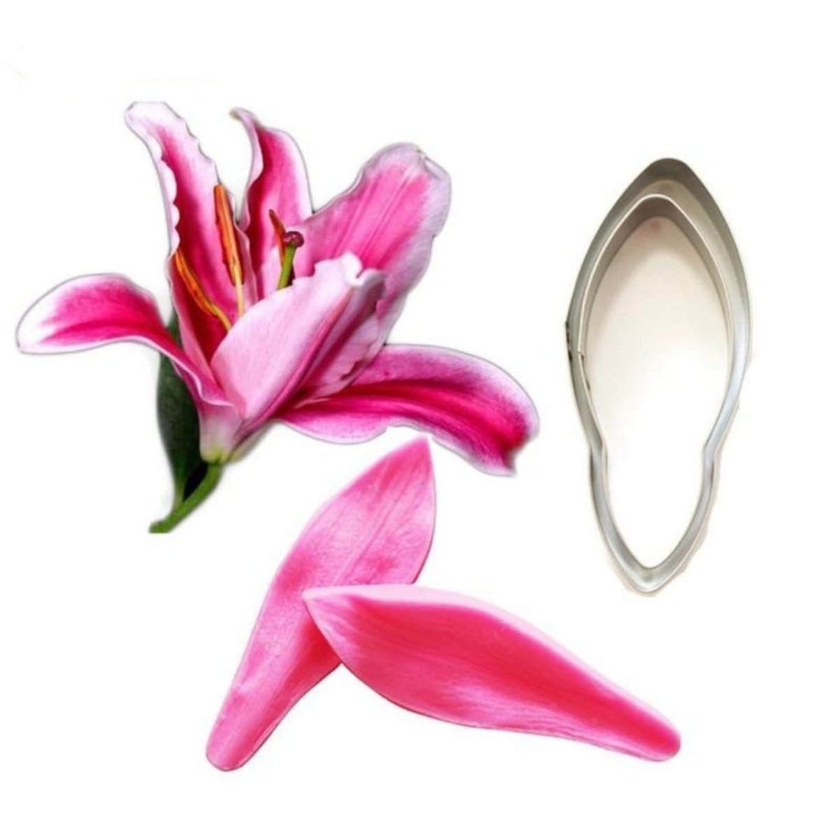 Bakewareind Lilly Leaf Veiner Silicone Mould And Steel Cutter, 4pc